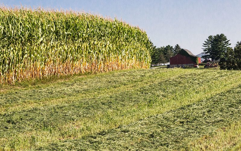 Understanding adjuvants used with agriculture chemicals – Crops and Soils