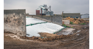 Drive-over silage pile construction – Crops and Soils