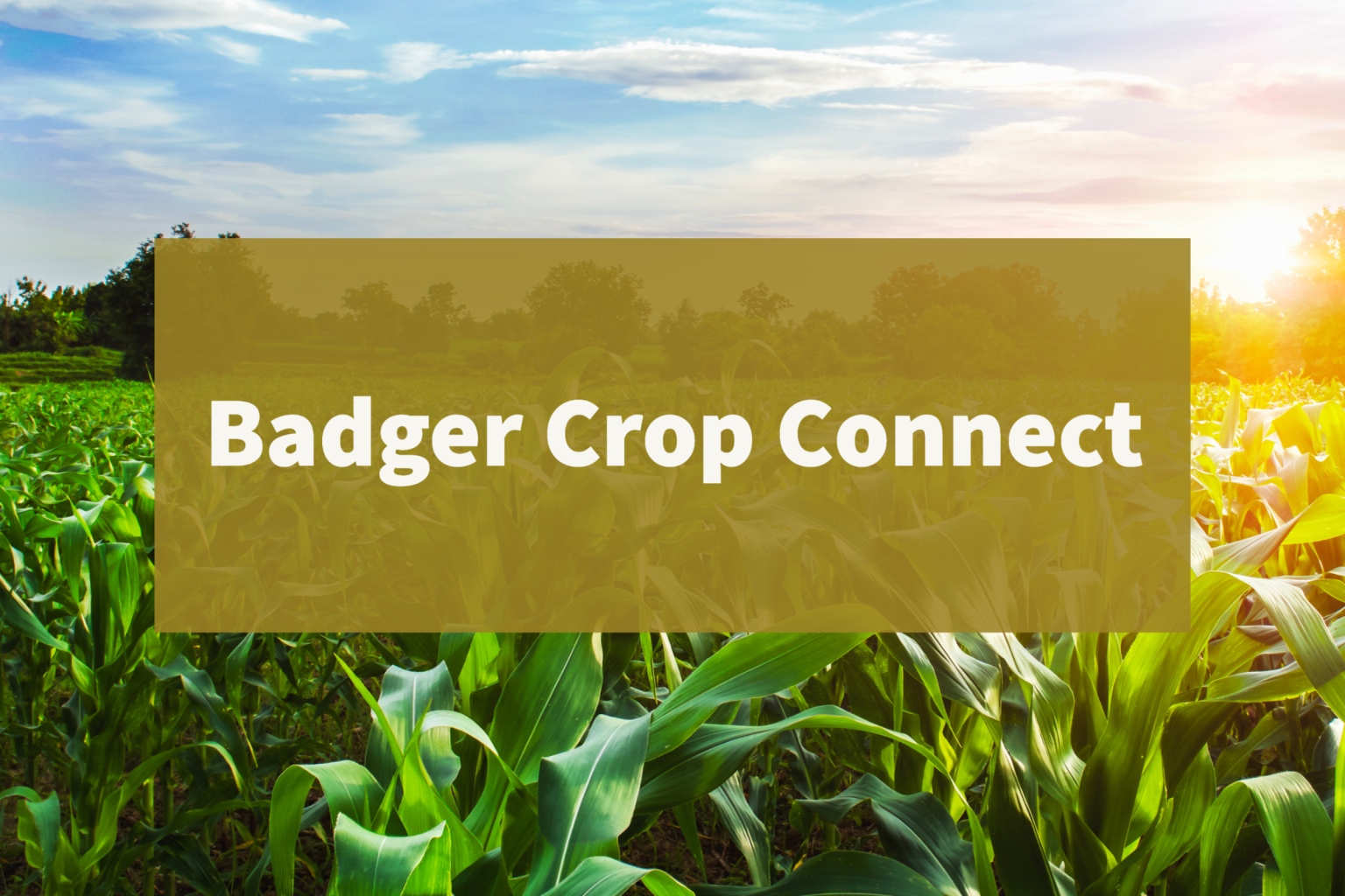 Webinars – Crops and Soils