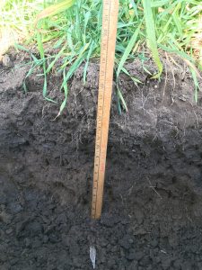 How much do soil health practices increase soil carbon? – Crops and Soils