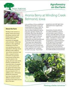 Aronia Berries – Crops and Soils
