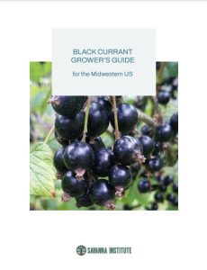 Currants – Crops and Soils