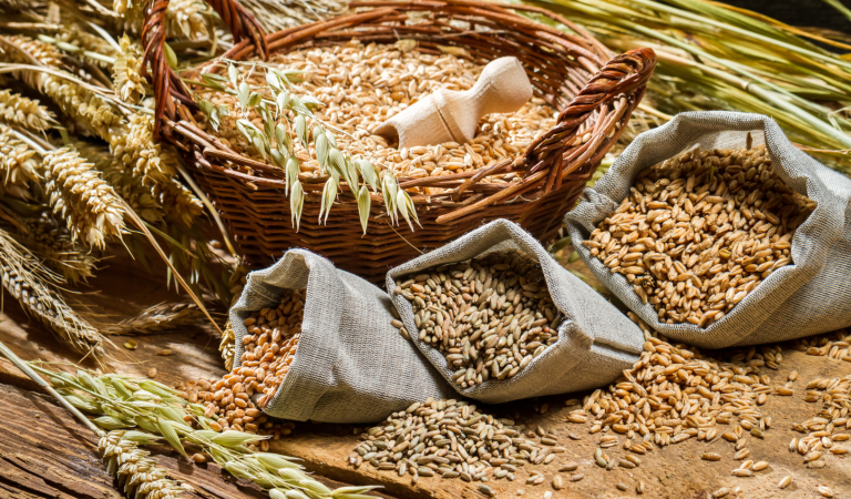 Food-Grade Grains – Crops and Soils