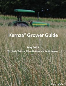 Kernza Crops And Soils