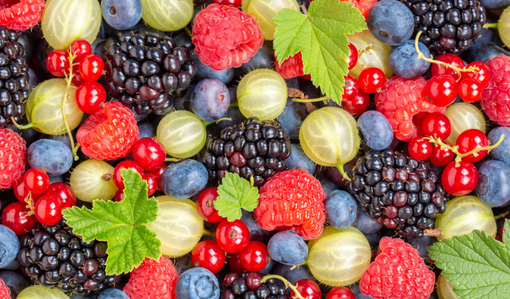 New Berry Crops – Crops and Soils