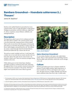 Bambara Groundnut – Crops and Soils
