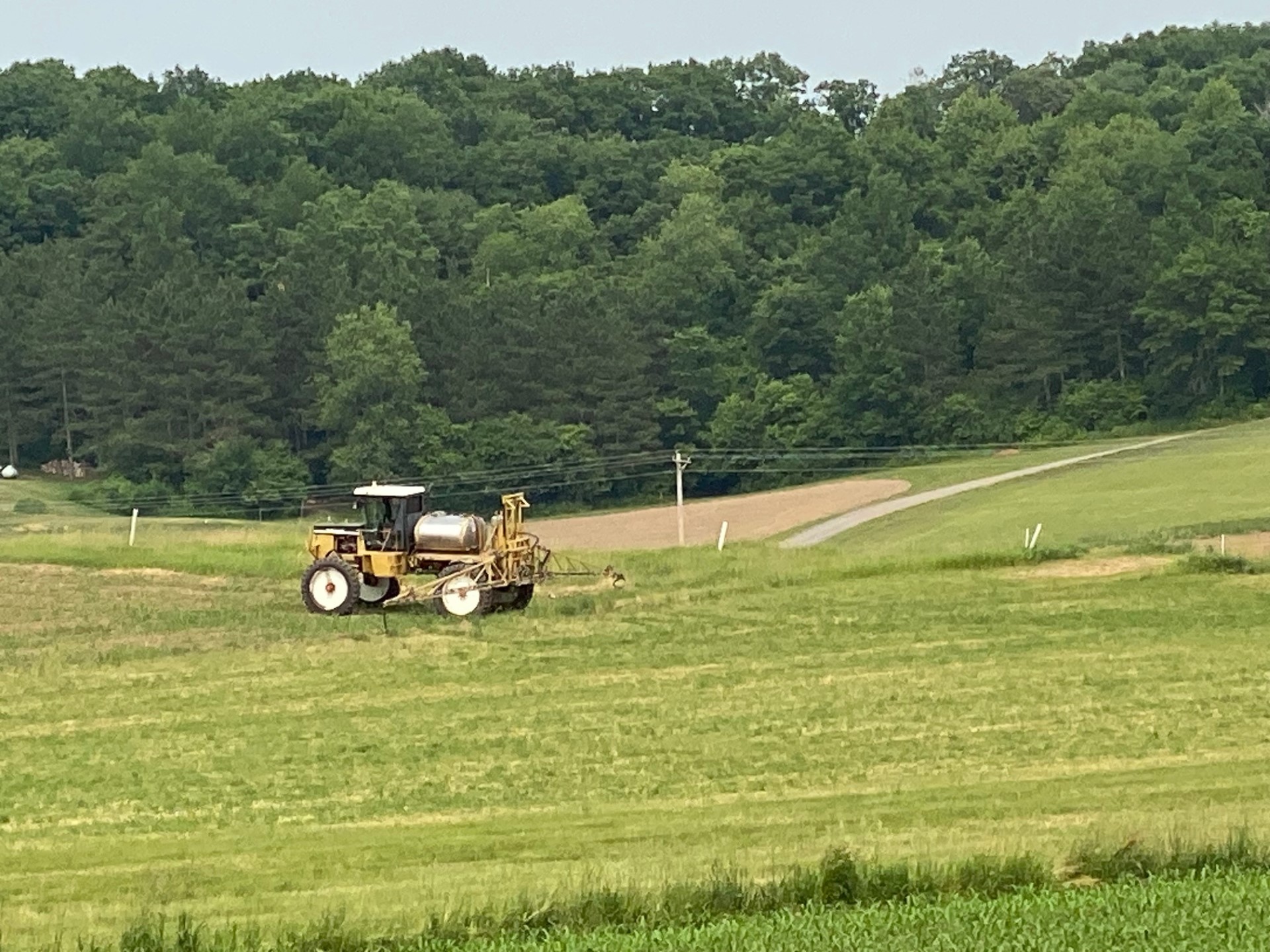 Wisconsin corn and soybean disease update and crop protection ...