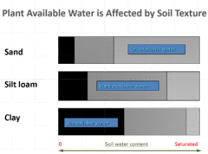 The important role of soil texture on water – Crops and Soils