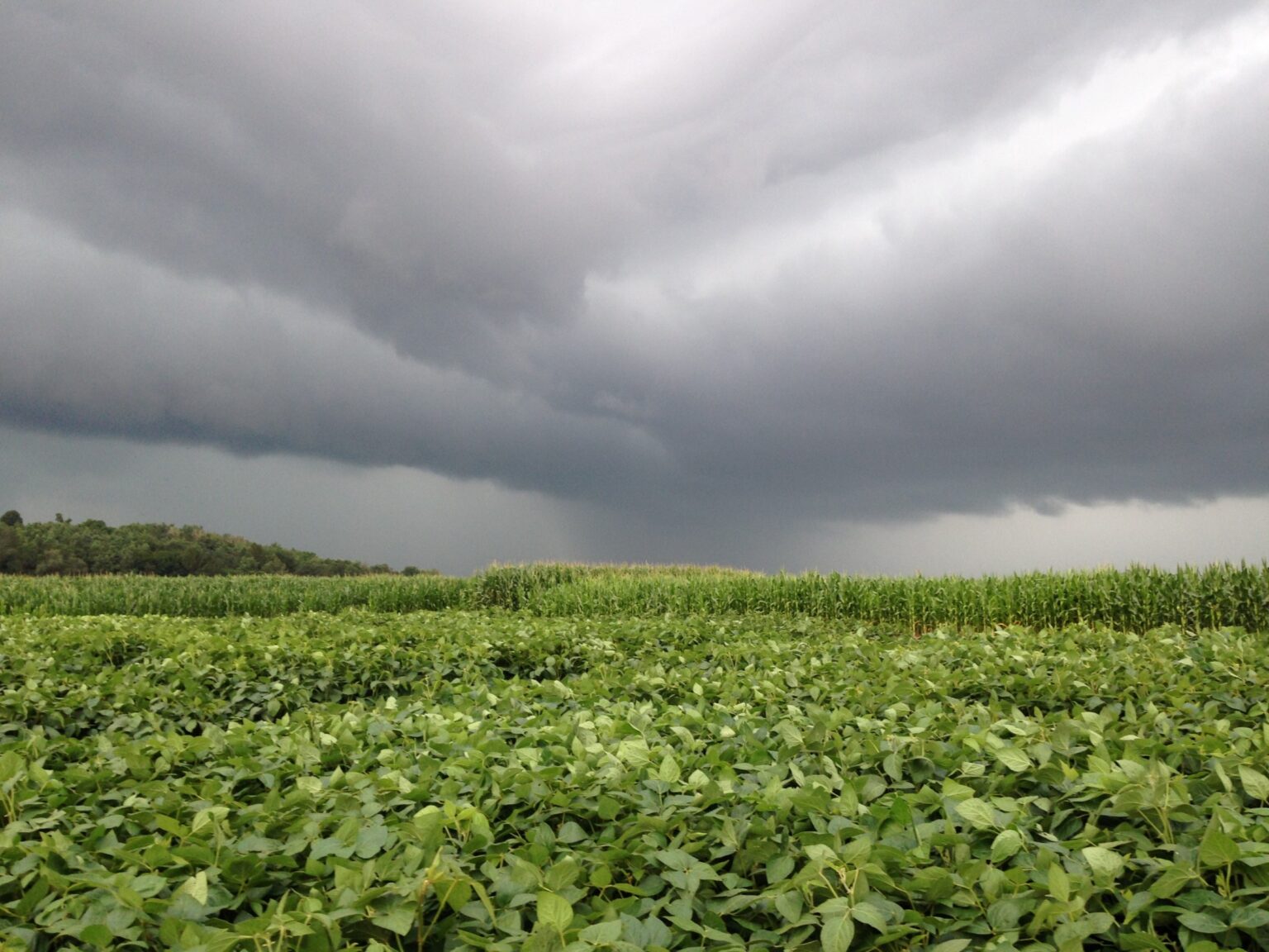 Ag Weather Outlook for Wisconsin – Crops and Soils