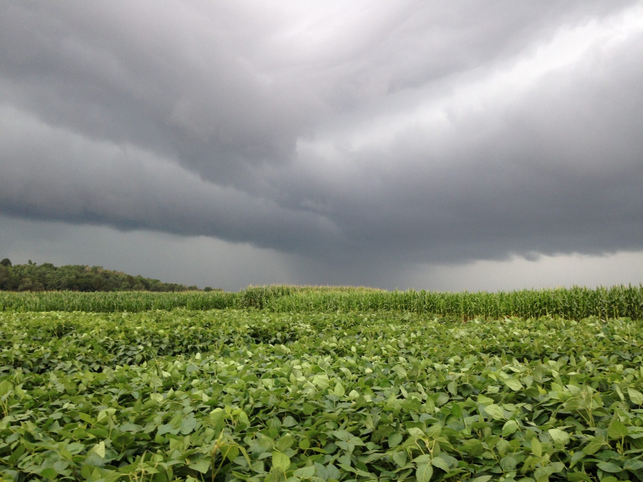 Ag Weather Outlook for Wisconsin – Crops and Soils