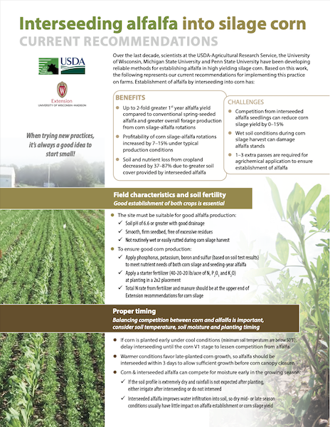 Corn-Alfalfa Interseeding – A Unique Strategy for Alfalfa Establishment ...