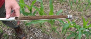 Field Notes Episode 17: Notes on Using the Haney Test in Wisconsin ...