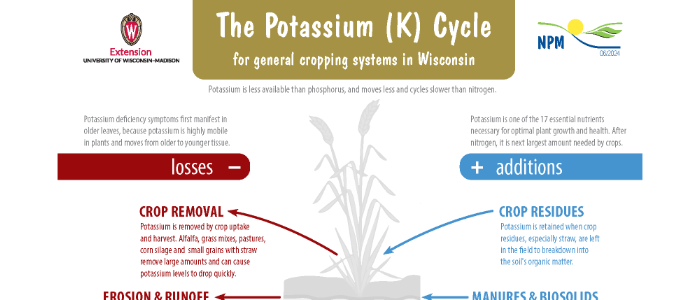 Elevate your knowledge of the potassium cycle – Crops and Soils