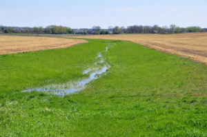 What happens to your crops in flooded fields? – Crops and Soils