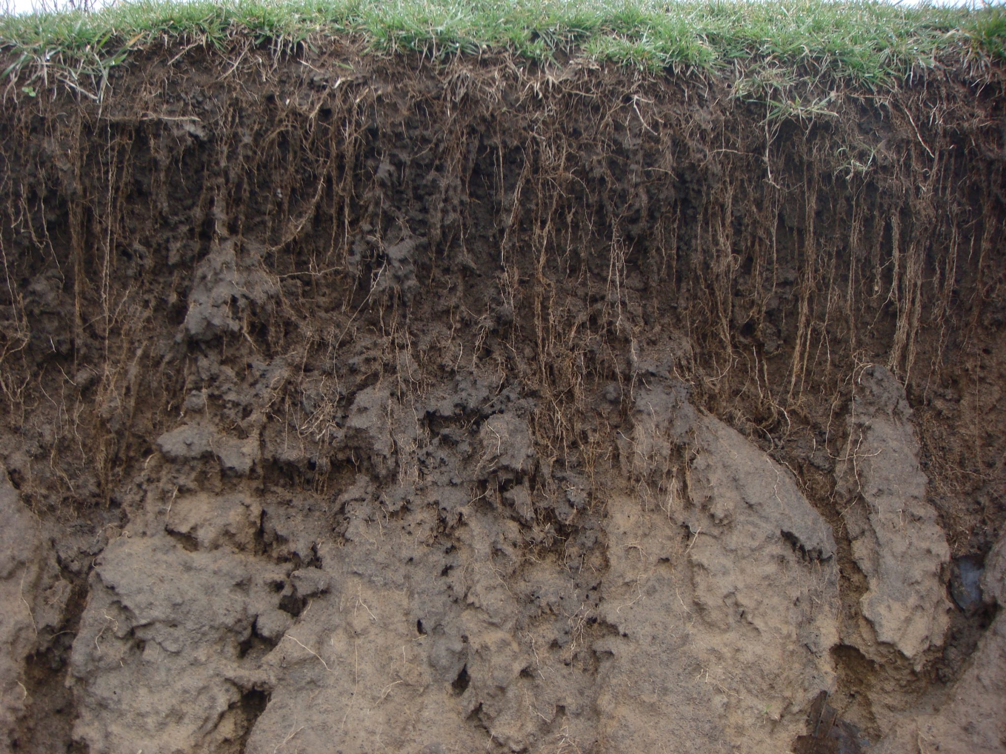 Soils, Nutrient Management, and Soil Health – Crops and Soils