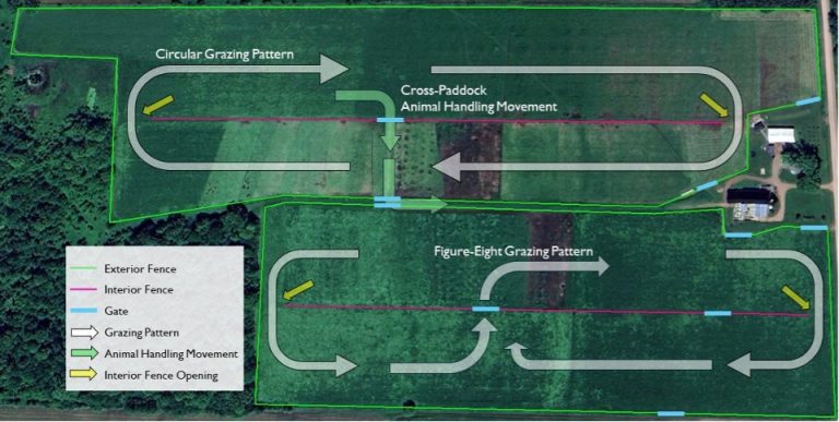 15 tips for designing fencing systems for managed grazing – Crops and Soils