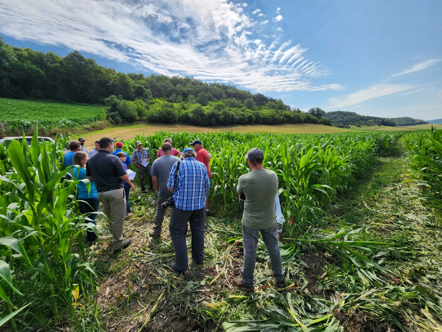 Nitrogen Optimization Pilot Program – Crops and Soils