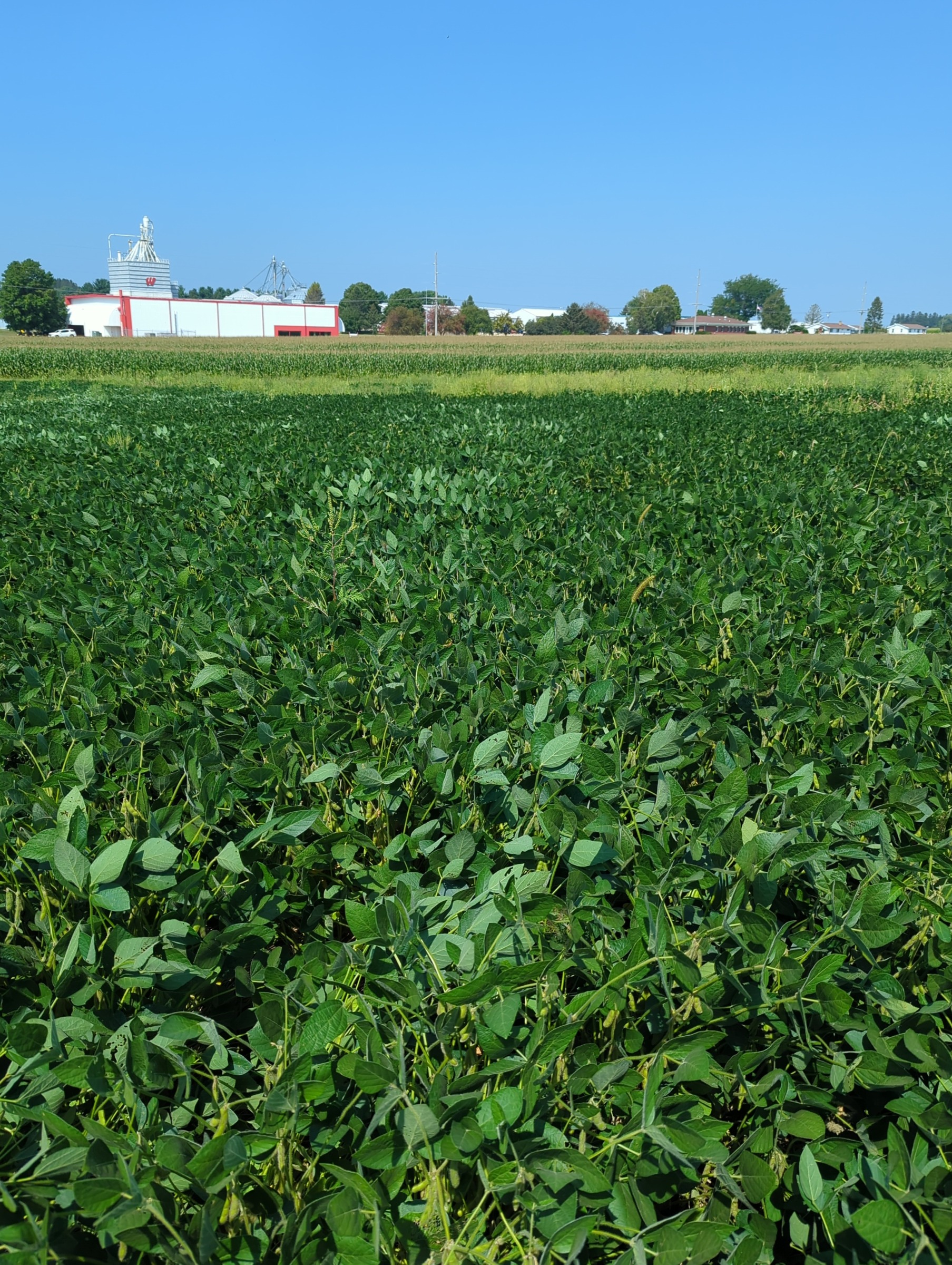 Nutrient Management Farmer Education Curriculum – Crops and Soils