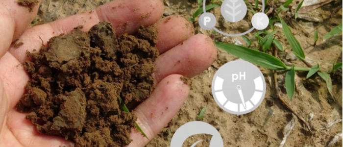 How can soil sampling affect lab results? – Crops and Soils