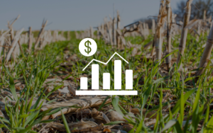 UW Crop Enterprise Budget Tool Helps Evaluate Final Planting and ...