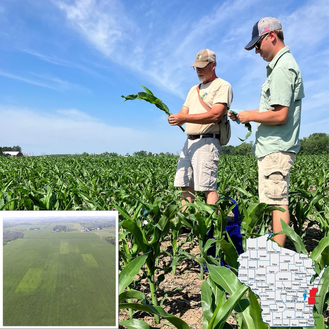 Nitrogen Optimization Pilot Program (NOPP) Project Spotlight – Novak, Hebbe, InDepth Agronomy ...