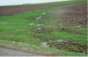 Scouting for Soil Erosion in Fall – Crops and Soils