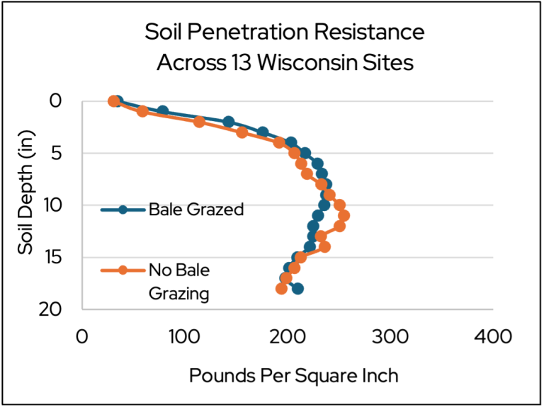 Research Brief: 2024 Wisconsin bale grazing project – Crops and Soils