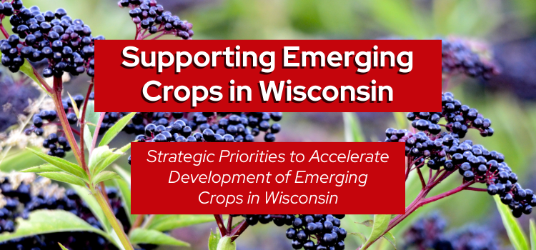 Creating New Opportunities for Wisconsin Farmers Through the UW ...