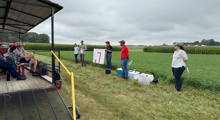 UW Forage and Cover Crop Field Day – Crops and Soils