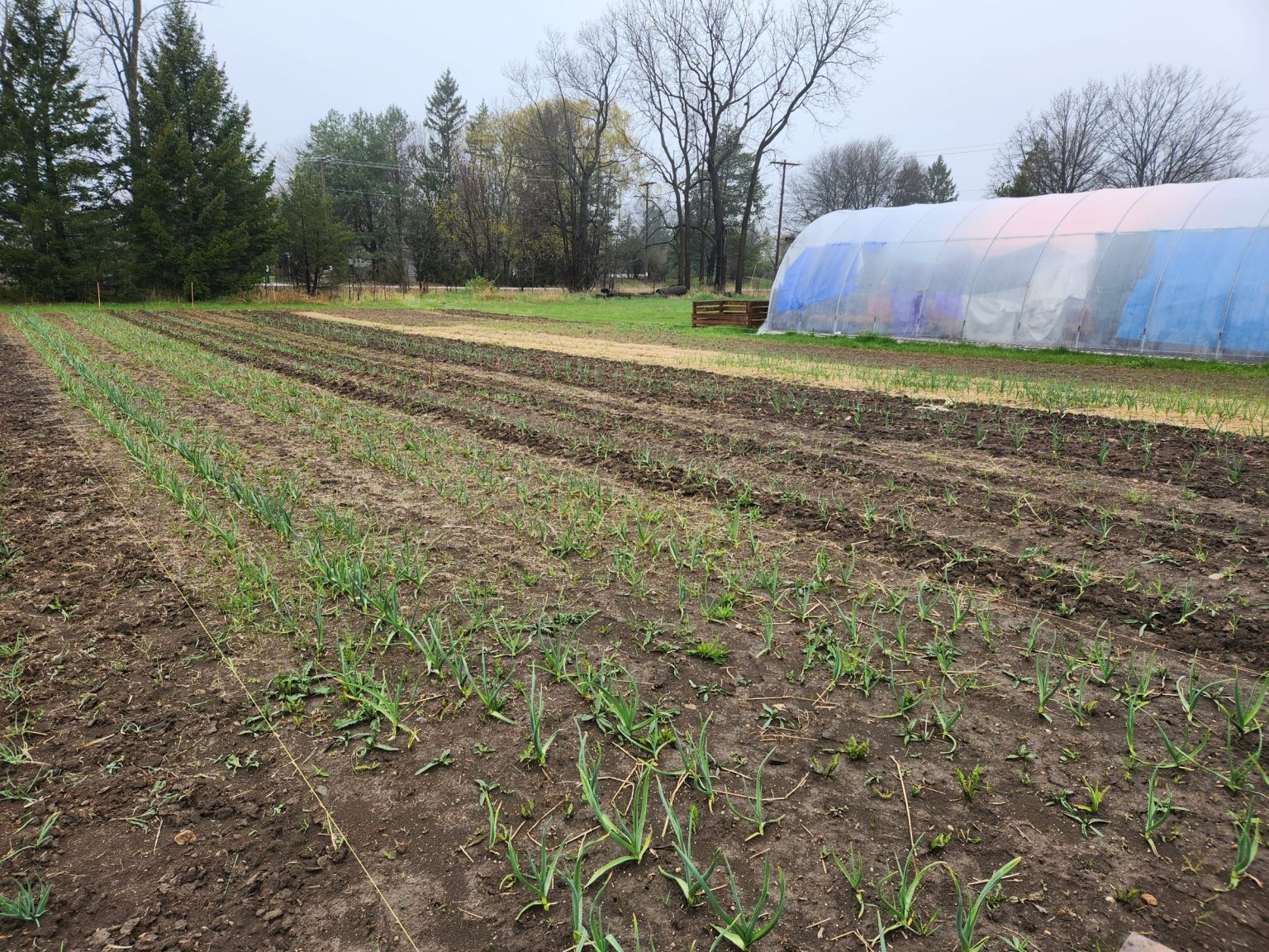 May 8, 2025 Weather Outlook – Crops and Soils