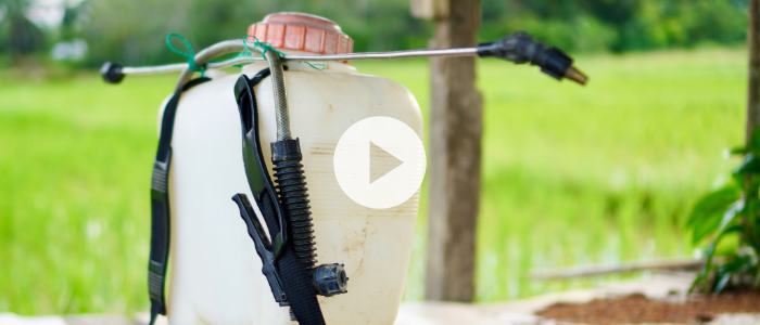 Backpack Sprayers in Diversified Vegetable Systems – Crops and Soils